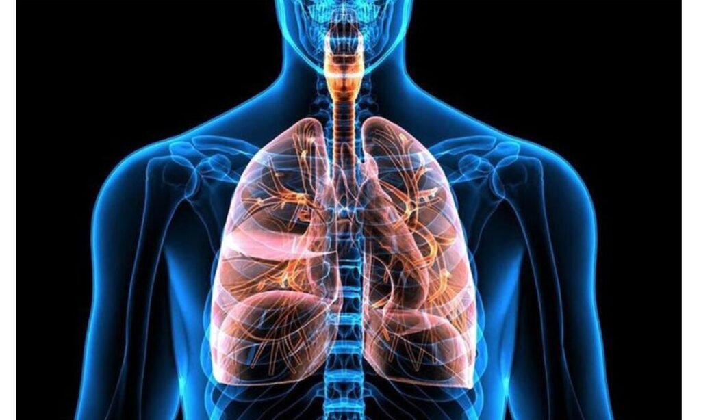 Top 10 Symptoms Indicating the Need for an X-Ray